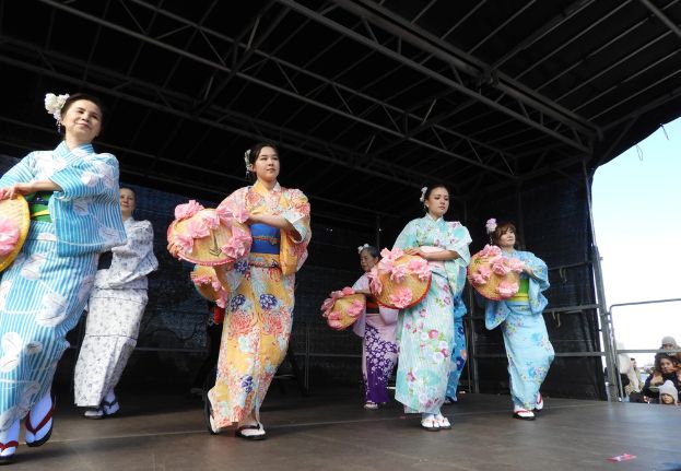 Sakura Copenhagen | Kirschblütenfest 2026 | stromma.com