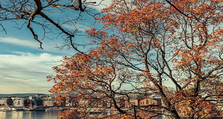 What to do in Oslo in the Fall | stromma.com