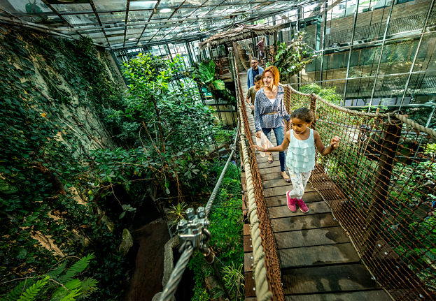 Universeum – Science center in Gothenburg | stromma.com